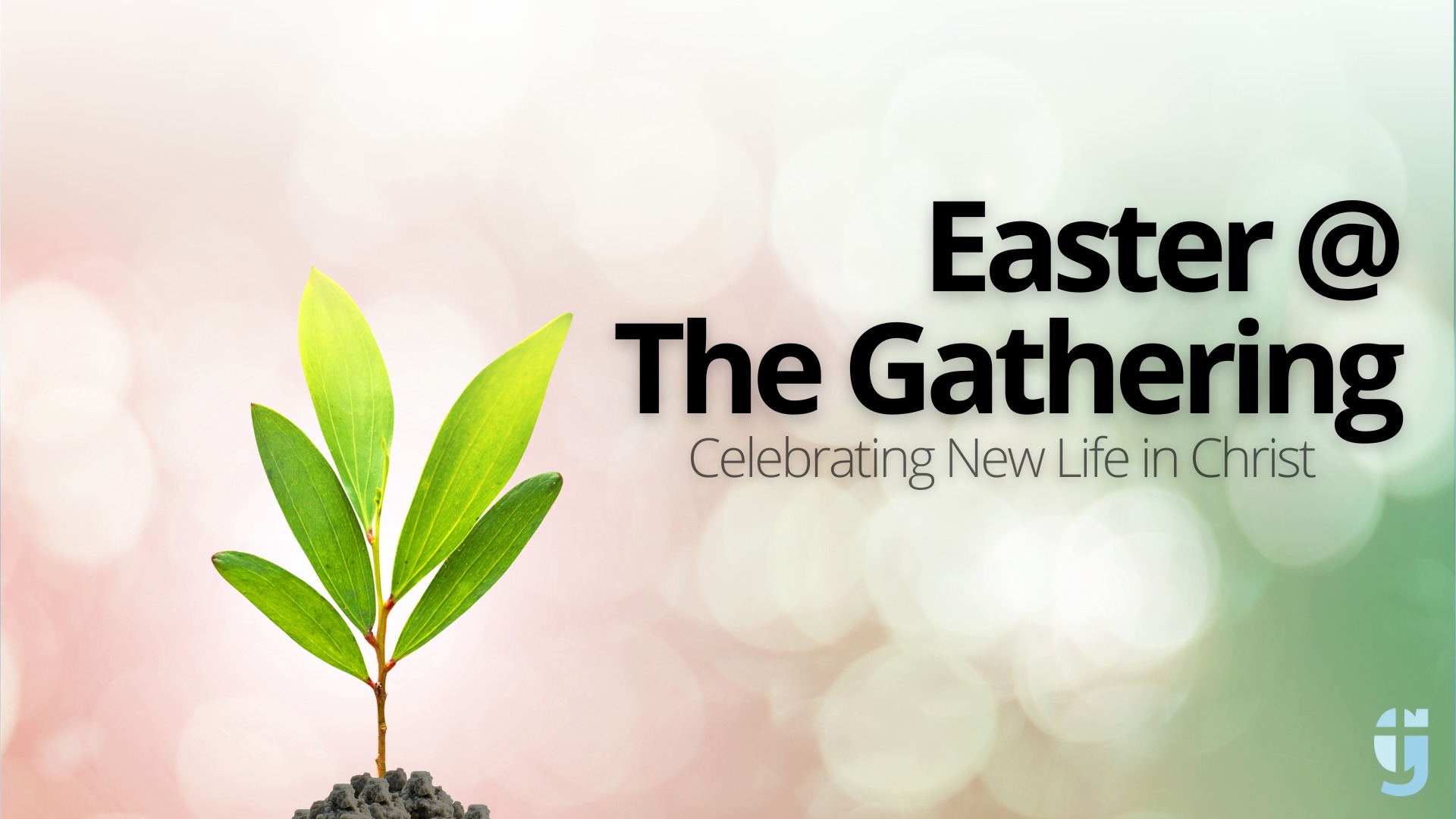 Easter Sunday: Resurrection Stories | The Gathering Ottawa